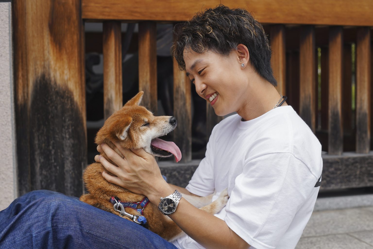 Pet Funeral Service in Singapore: A Heartfelt Farewell for Your Furkid ...